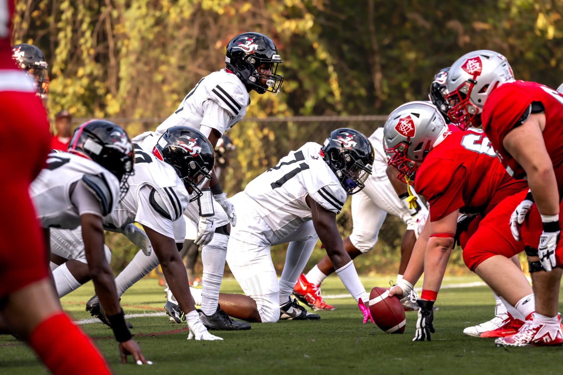 Football | Long Island Lutheran Middle & High School